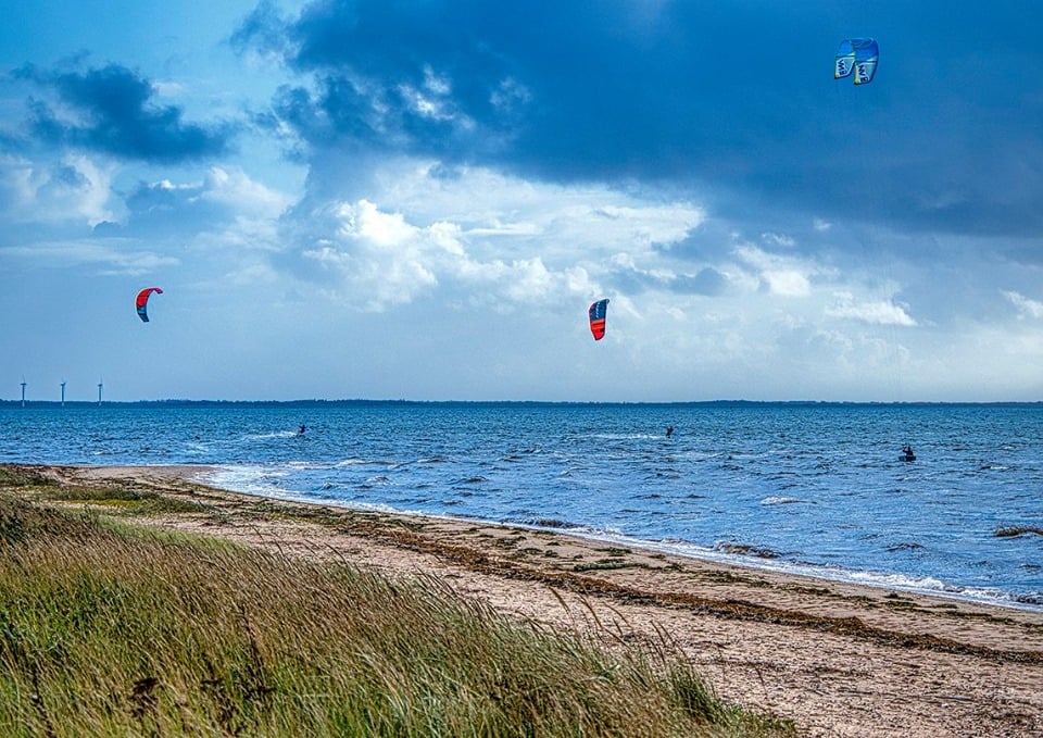 Marbæk Strand mister en bade-stjerne! - Esbjerg lokale nyheder